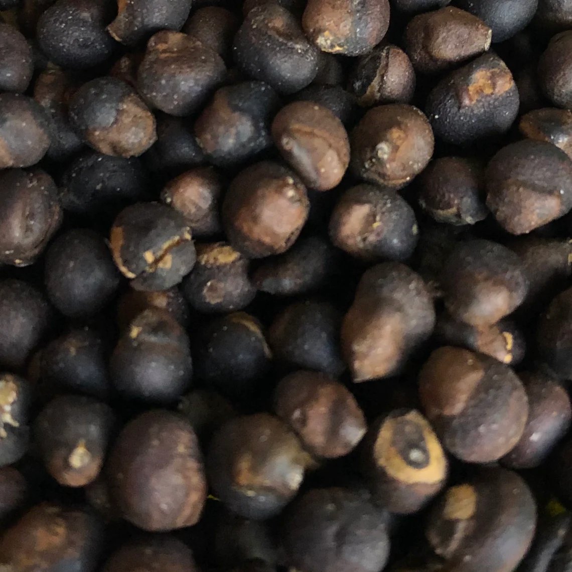 Indo Prima Sentosa – Java Kapok Manufacturer